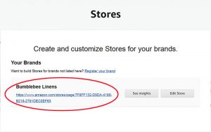 How To Make An Amazon Storefront [2024 Beginners Guide]